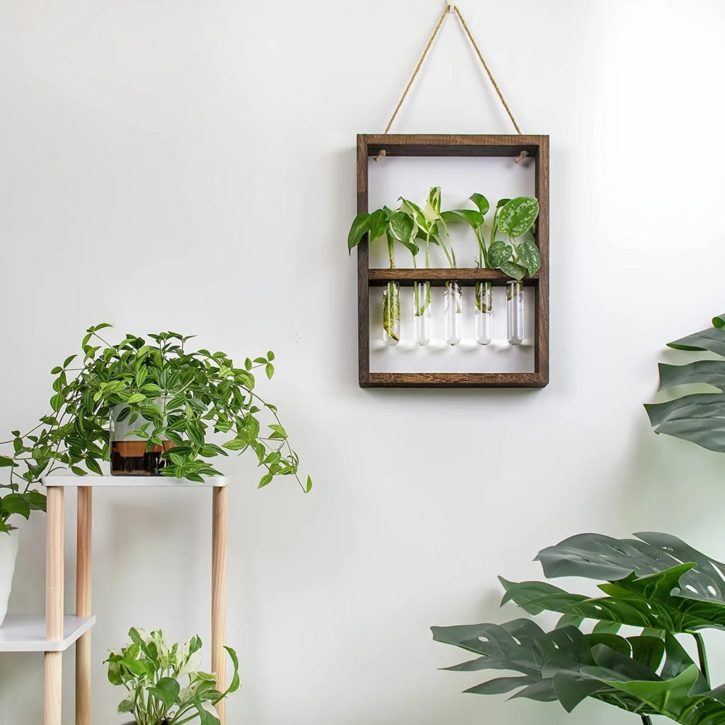 Plant Propagating Photo Frame – BRECK + FOX